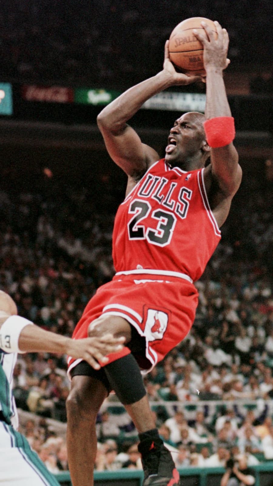 Michael Jordan's Impressive Career