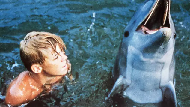 'Flipper' Star Luke Halpin: This Is "Sandy Ricks" Today