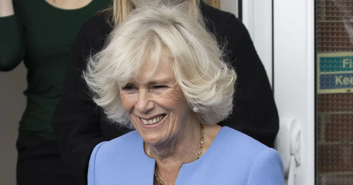 Royals: The Best Pictures Of Queen Camilla In An Evening Gown