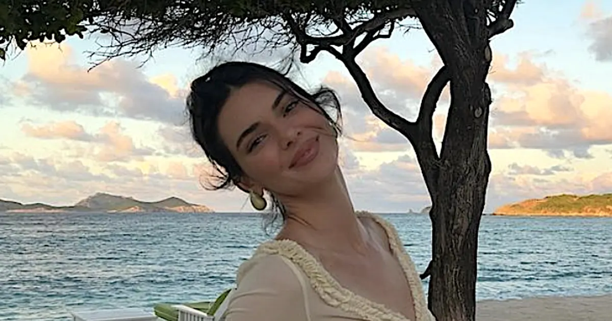 WOW! Kendall Jenner Stuns Fans In Naked Dress