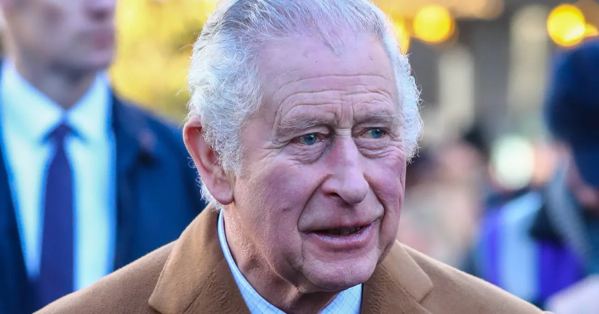 King Charles Surprised At First Appearance After Documentary