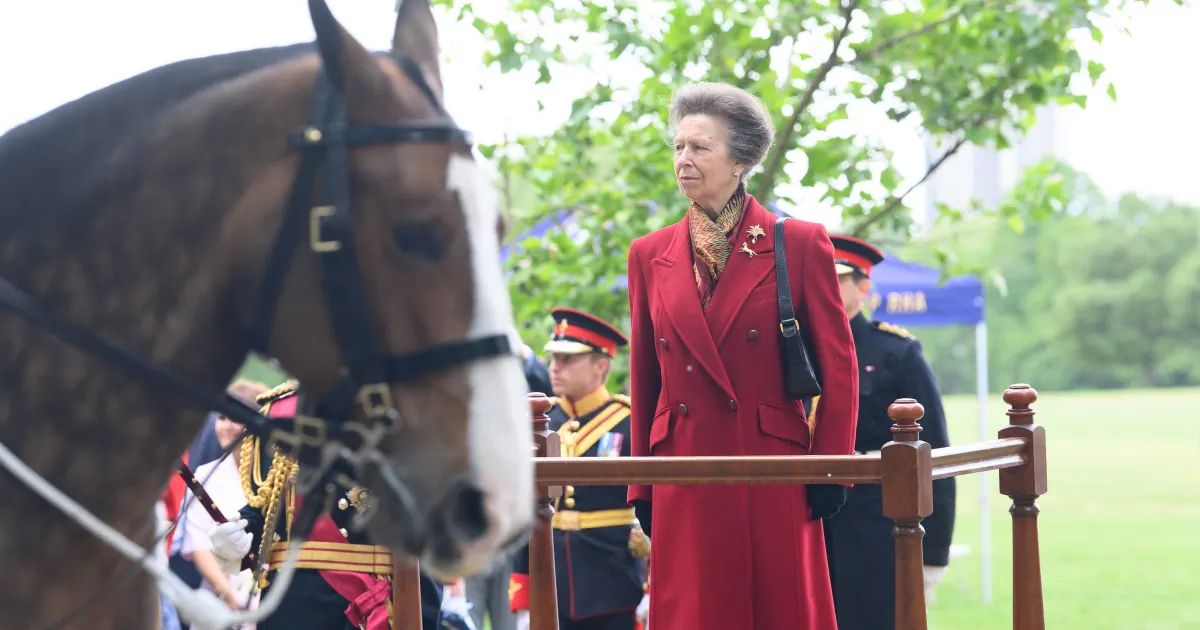 Impressive! All About Princess Anne’s Equestrian Career