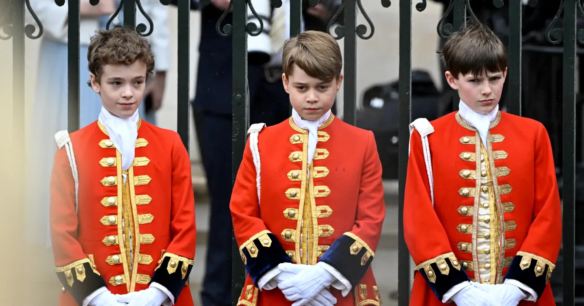 Fear Of Bullies? Prince George Asked Charles For THIS