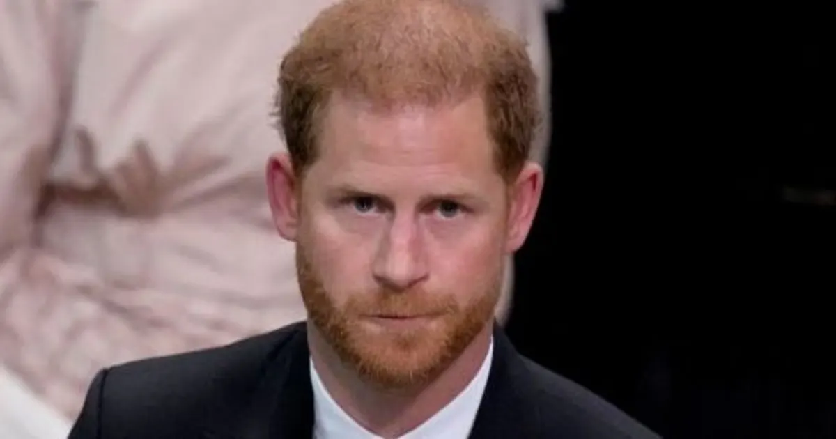 Prince Harry: THESE Royals Still Have His Back!