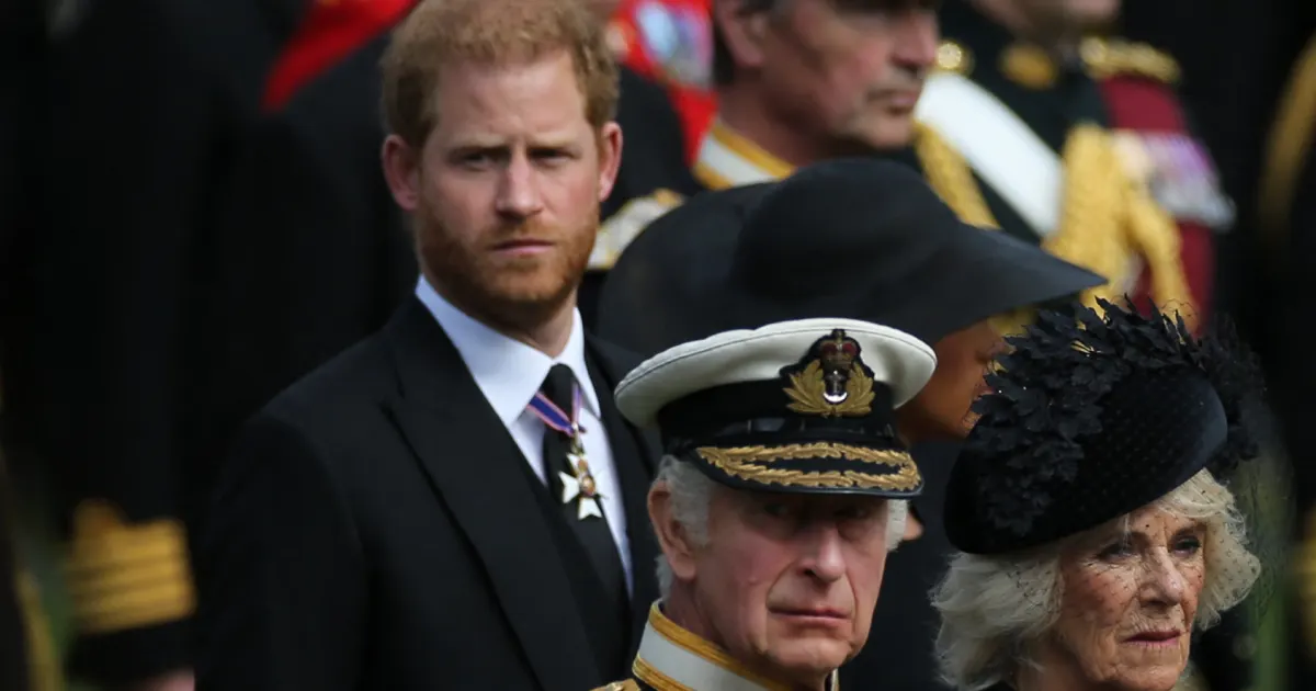 Royal Rules: Could Prince Harry Stand In For Charles?