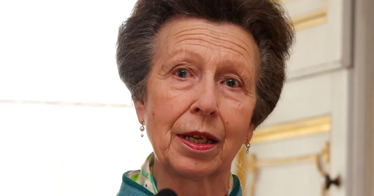 Memory Loss: THIS Is How Princess Anne Is Doing After Accident