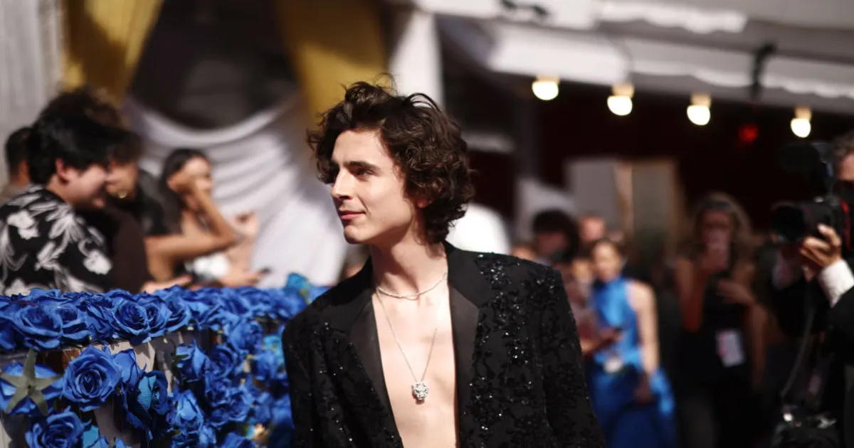 Impressive Facts About Timothée Chalamet You Didn't Know