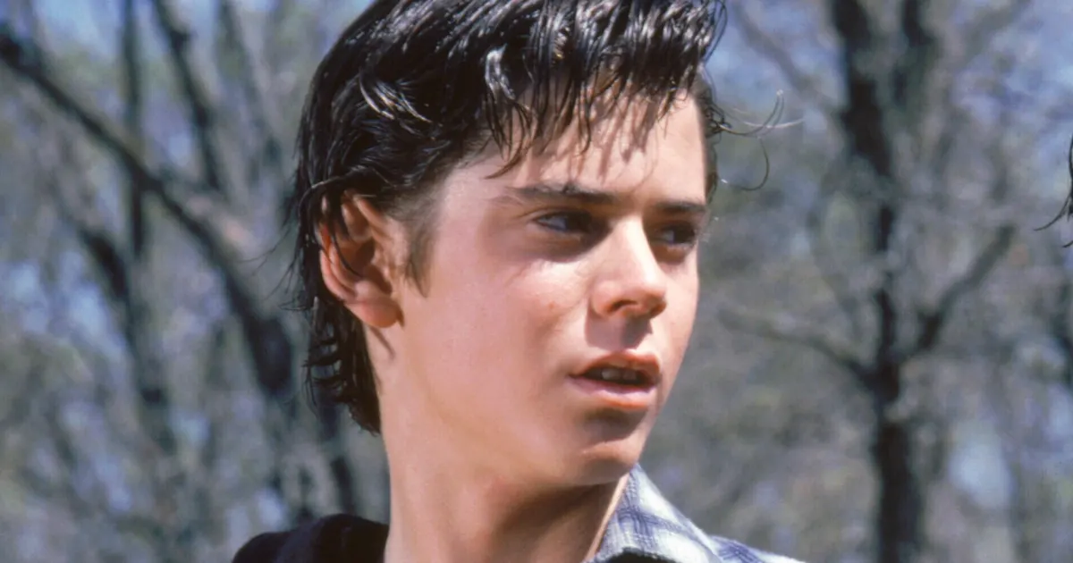 'The Outsiders': What Happened To C. Thomas Howell?