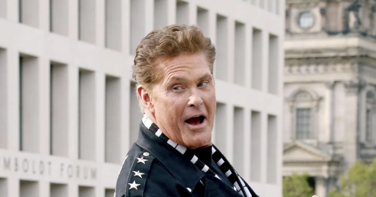 David Hasselhoff Quiz