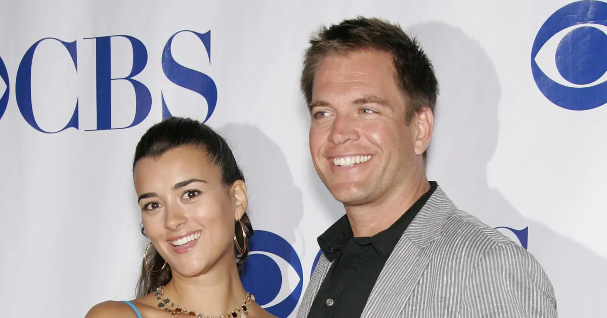 'NCIS': A "Ziva" And "Tony" Reunion Has Become A Real Possibility