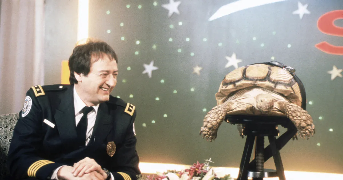 Comedy Legend Joe Flaherty, 'SCTV' Icon, Dead at 82