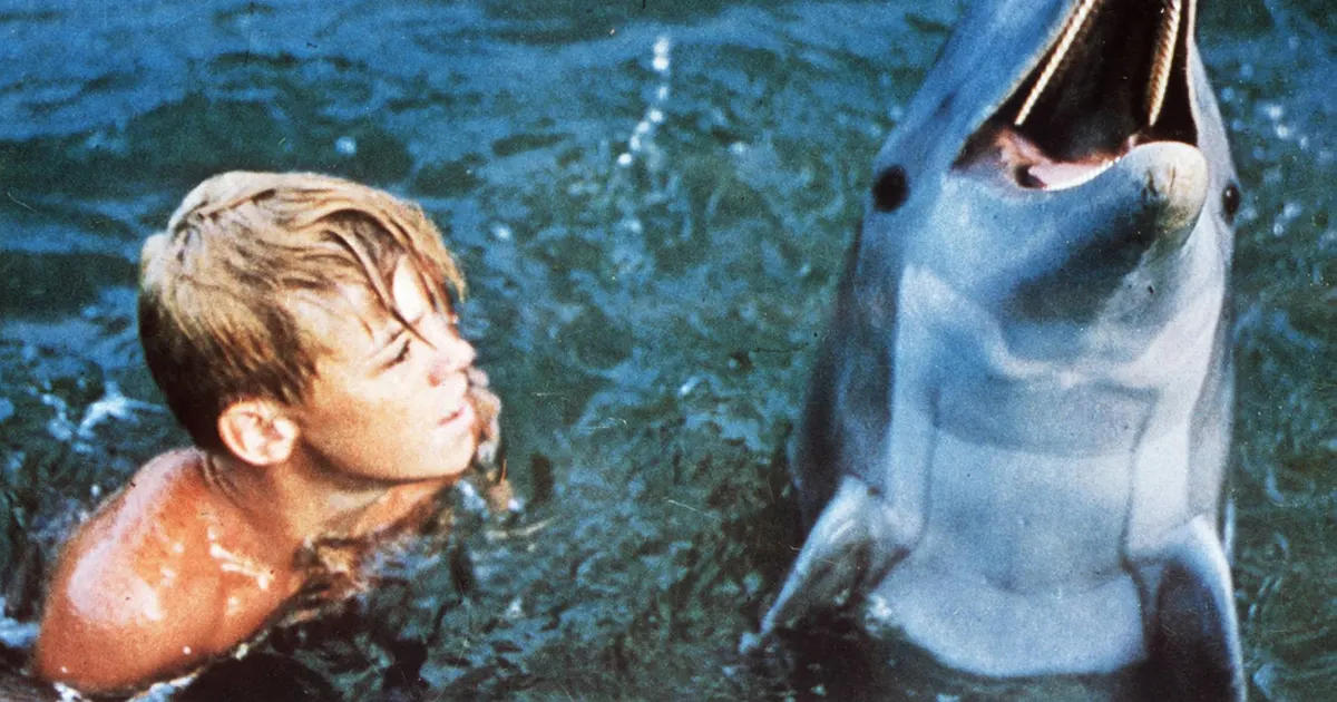 'Flipper' Star Luke Halpin: This Is "Sandy Ricks" Today