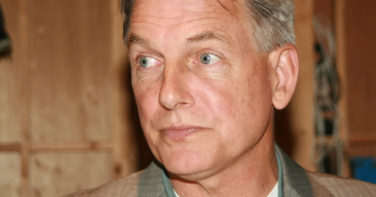 'NCIS': "Gibbs" Arrested In New Season 18 Preview