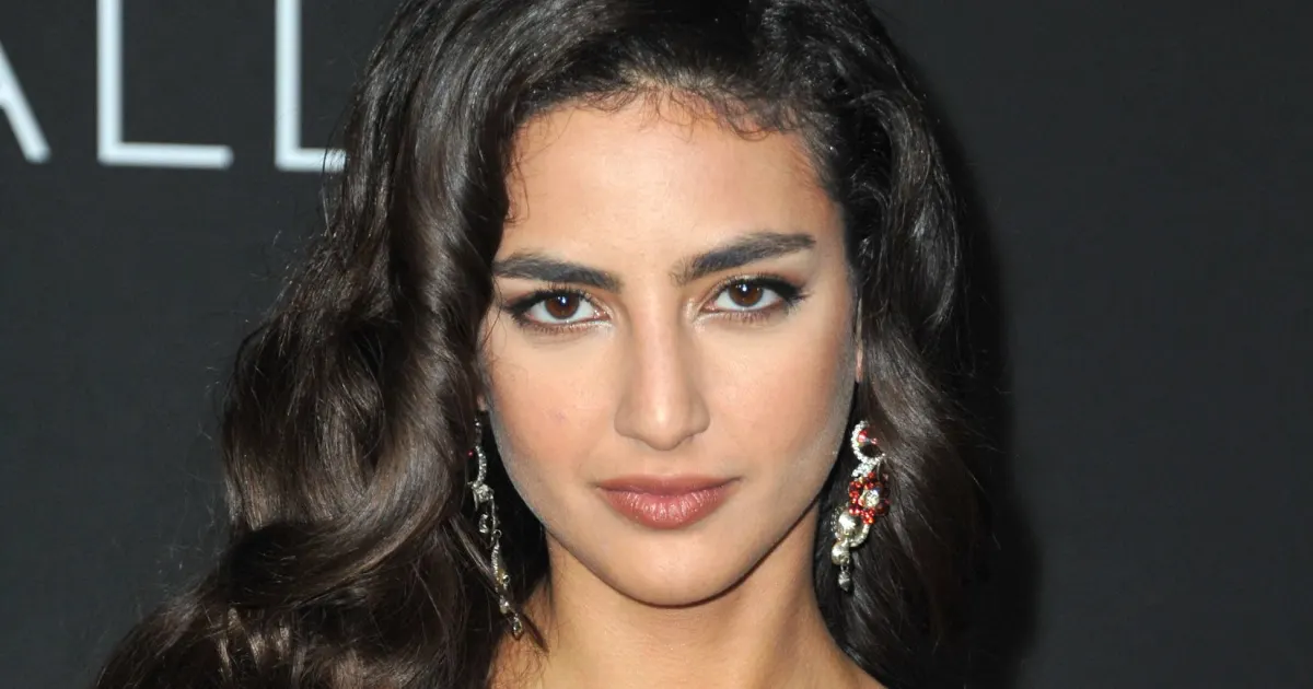 'NCIS: L.A.' Season 11: Medalion Rahimi Becomes Series Regular