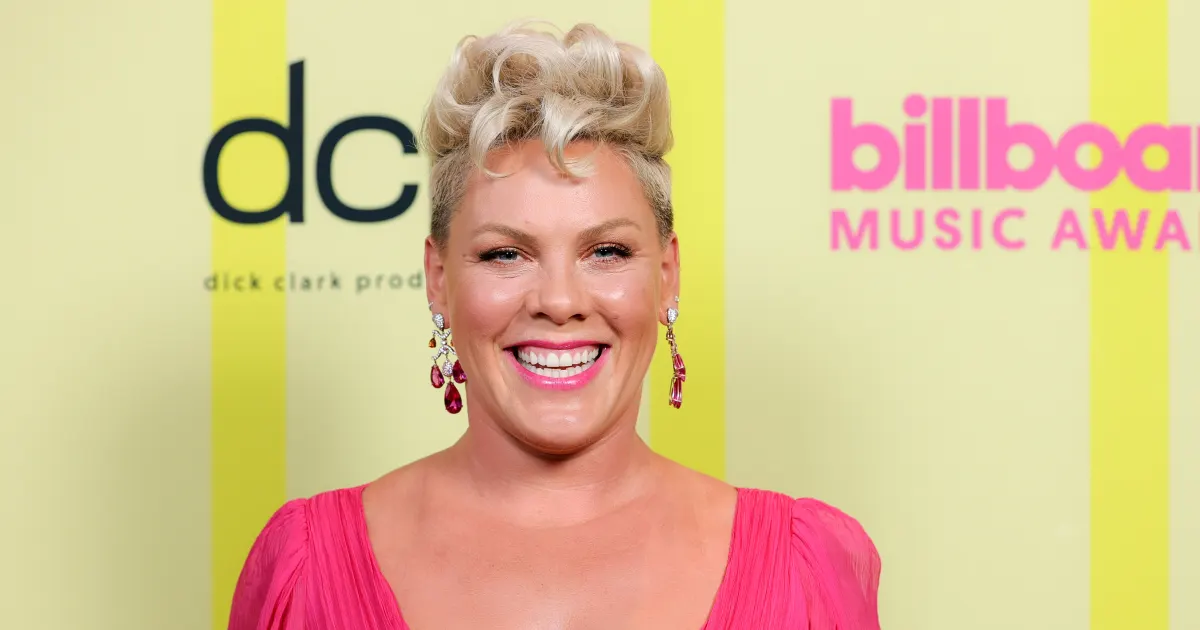 Pink Shows Off Her Toned Body In A Bikini!