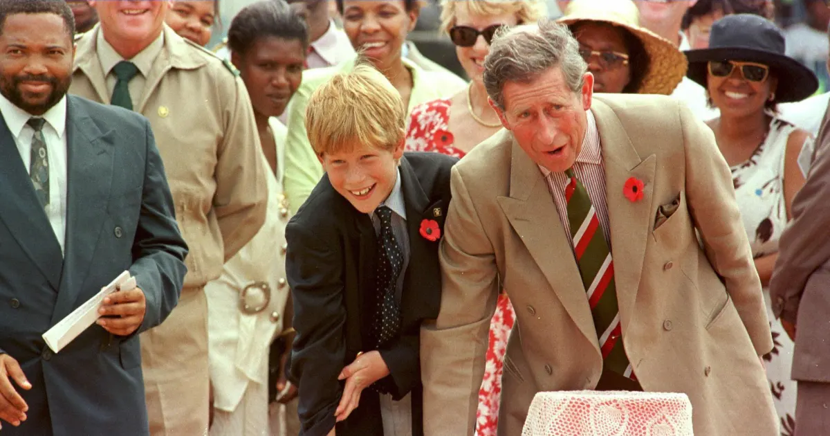 Prince Harry's Life In Photos
