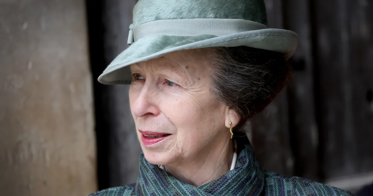 Princess Anne's Memory Loss Scare: An Expert's Update