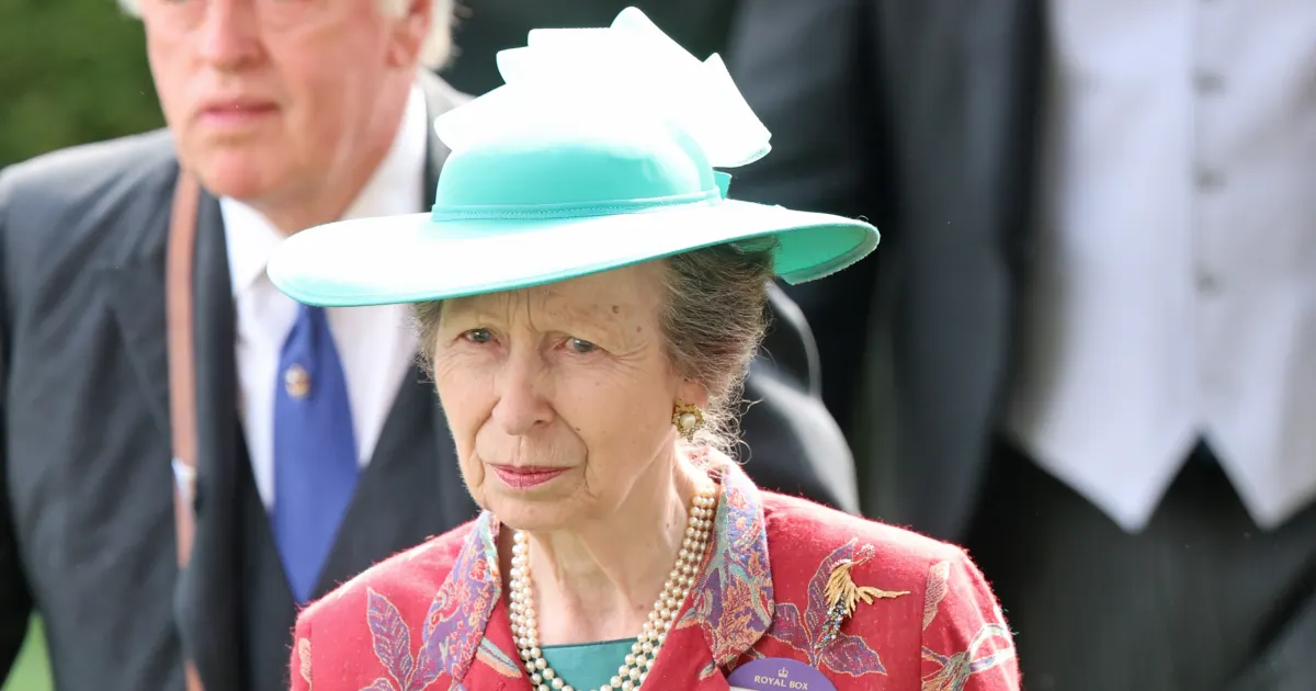 Head Injury! Princess Anne In Hospital After Accident