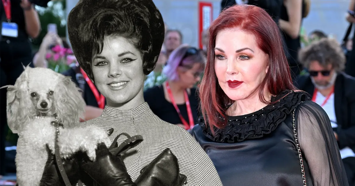 La Transformation Fou De Priscilla Presley