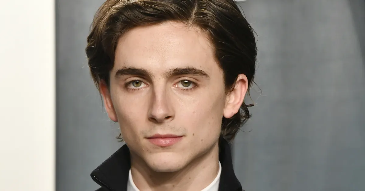 Les Rôles Les Plus Mémorables De Timothée Chalamet