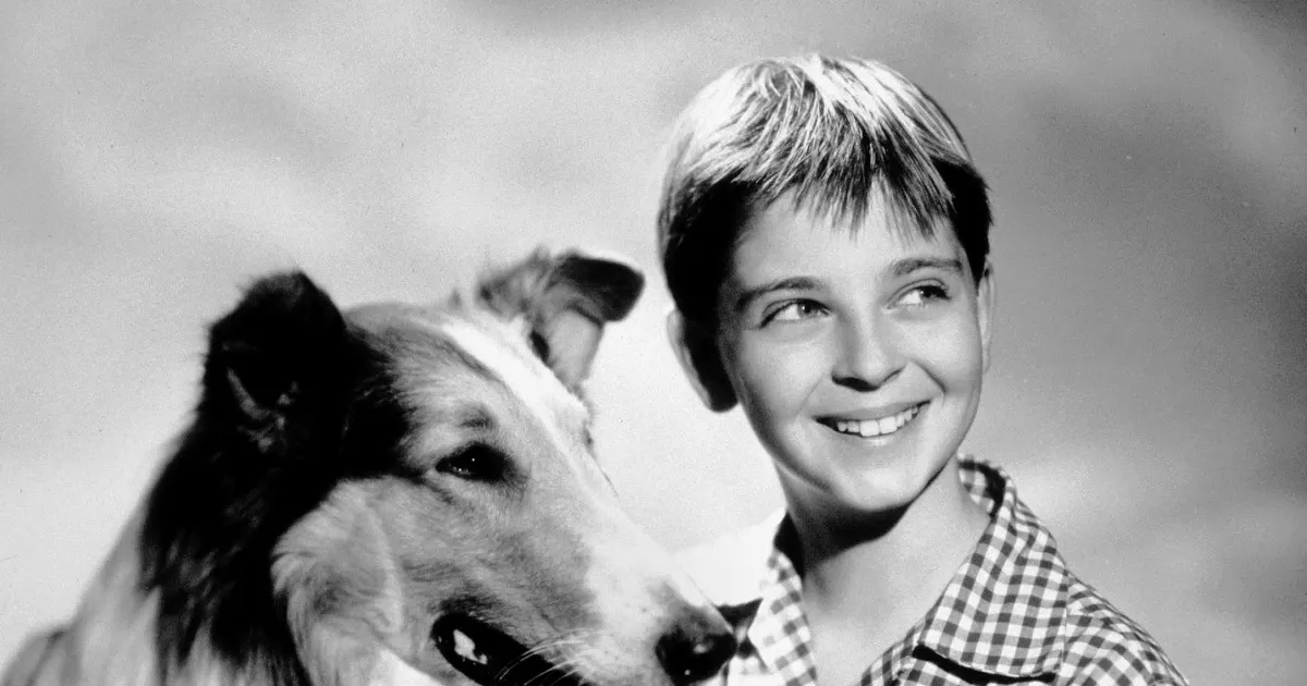 'Lassie': La Cause Du Décès De Tommy Rettig