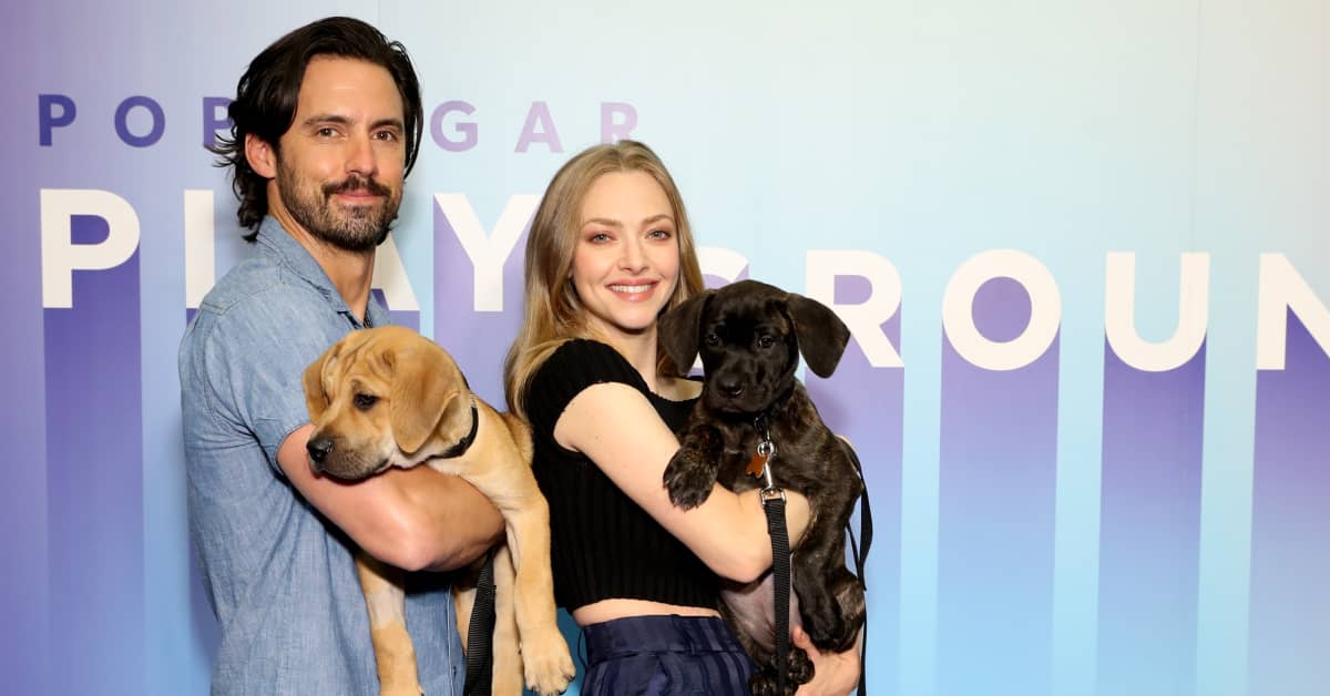 These Are The Cutest Celebrity Pets!