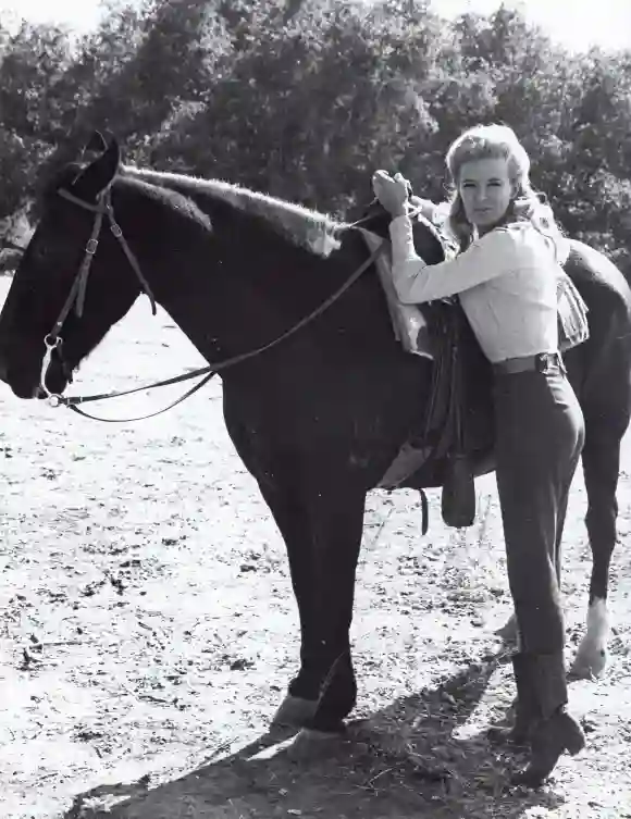 'The Big Valley': 10 Amazing Facts About The Classic Western Show