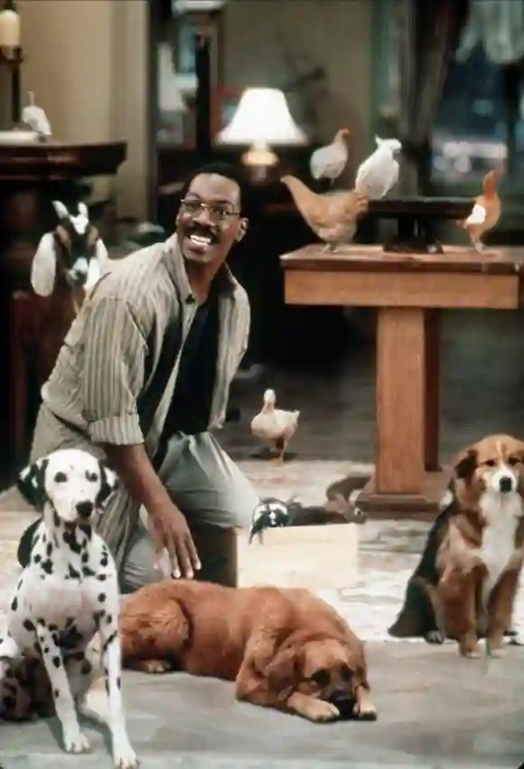 Eddie Murphy's Impressive Career Highlights