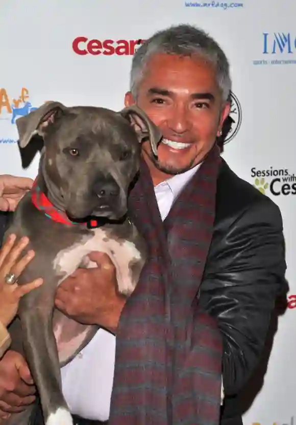 "El encantador de perros": ¡Las mejores fotos de César Millán!