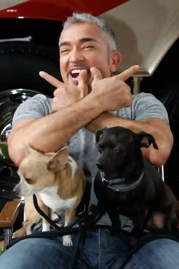 "El encantador de perros": ¡Las mejores fotos de César Millán!