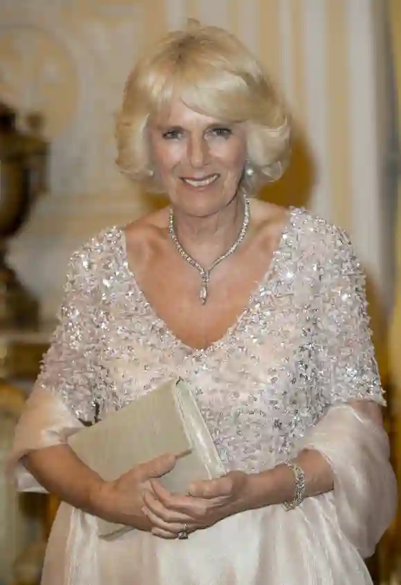 Royals: The Best Pictures Of Queen Camilla In An Evening Gown