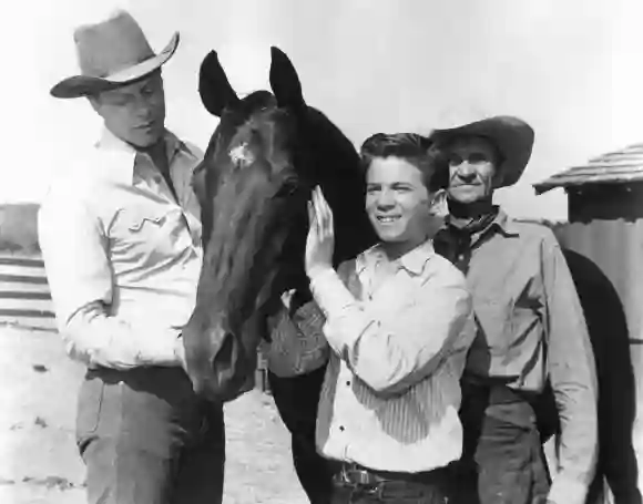 'Fury': Check Out These Fun Facts About The Series