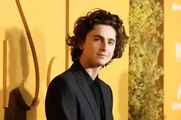 Impressive Facts About Timothée Chalamet You Didn't Know