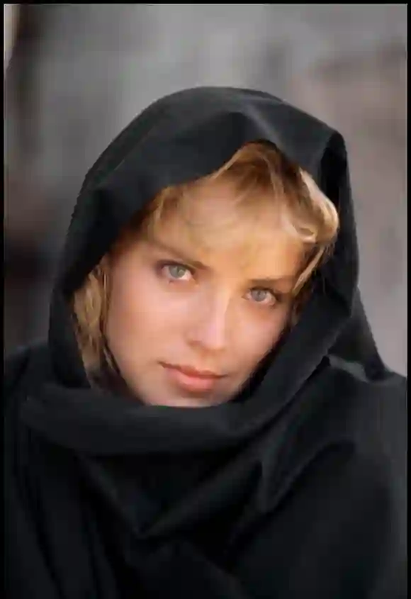 Sharon Stone: Her Best Roles